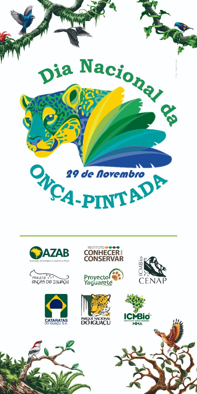 Onça Pintada: símbolo brasileiro da conservação da biodiversidade